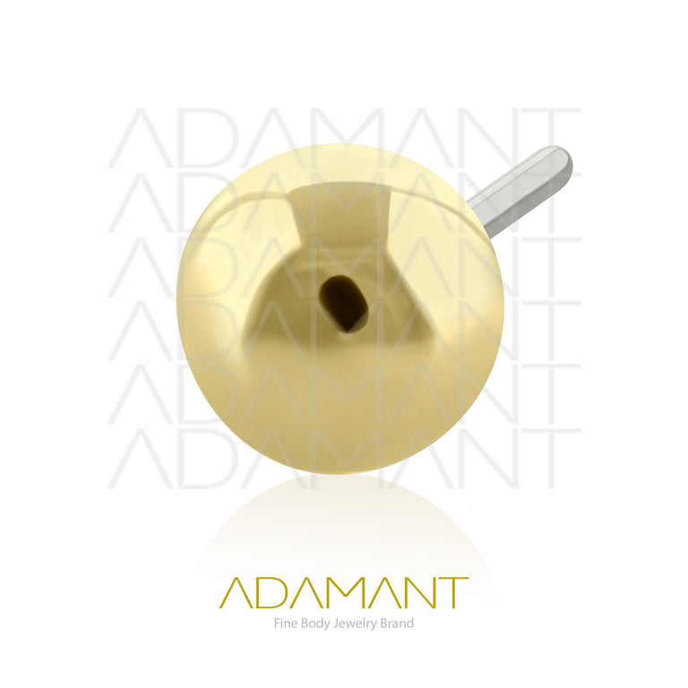 from Login to see prices