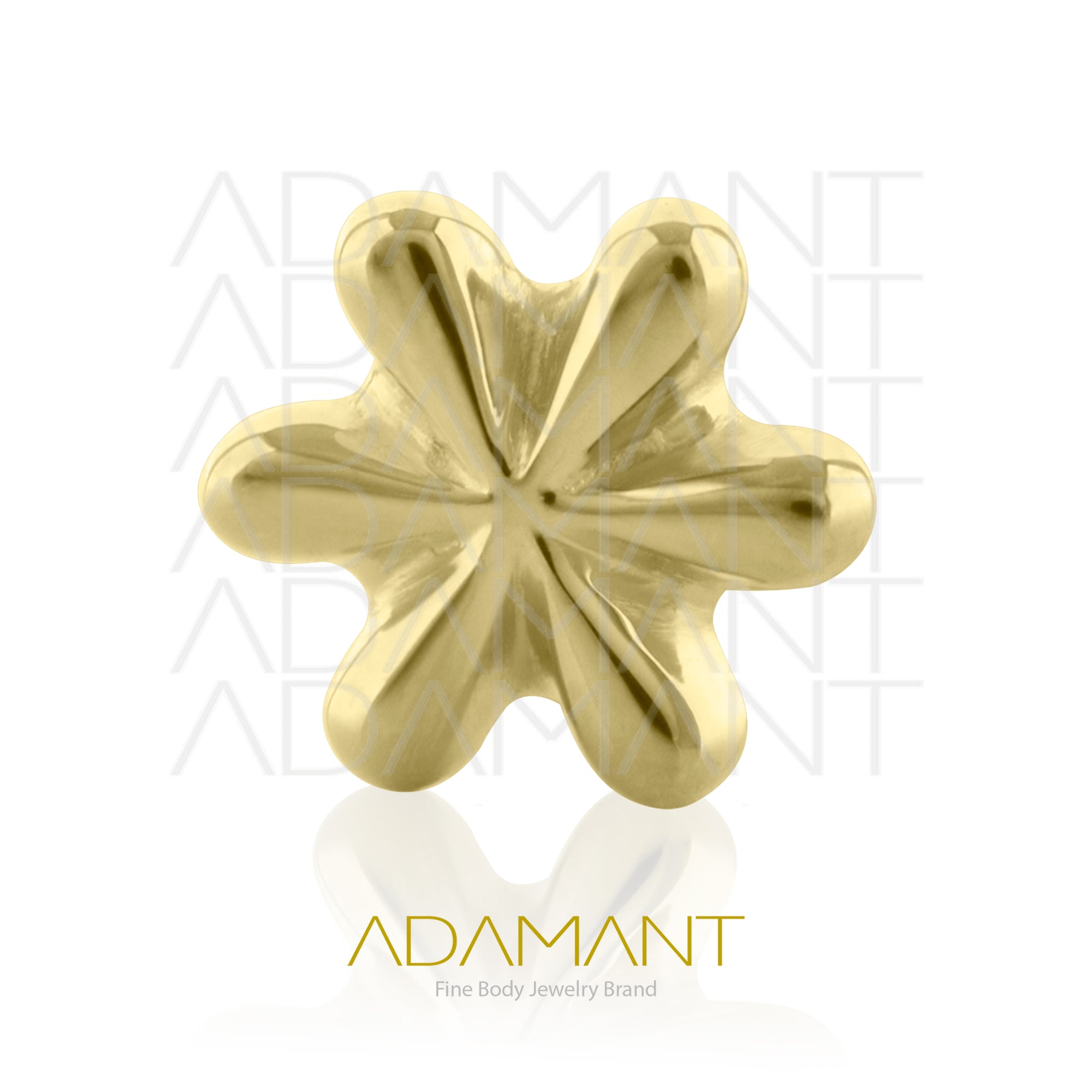 25g, Threadless, 14k Solid Gold Accessory, 4.8mm Pin Size, Splash.